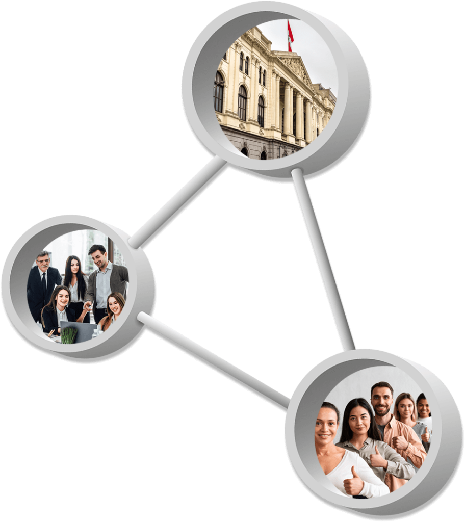 GovLink ® - Consultoría y Capacitación en Govtech Perú